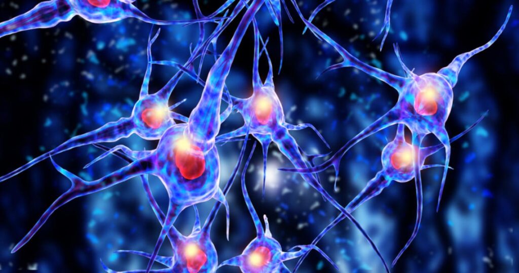 Nerve cells of the brain were printed on a 3D printer for the first ...